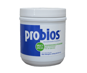 Probios Probiotic Supplement - Tucson, AZ - Arizona Feed Country Stores