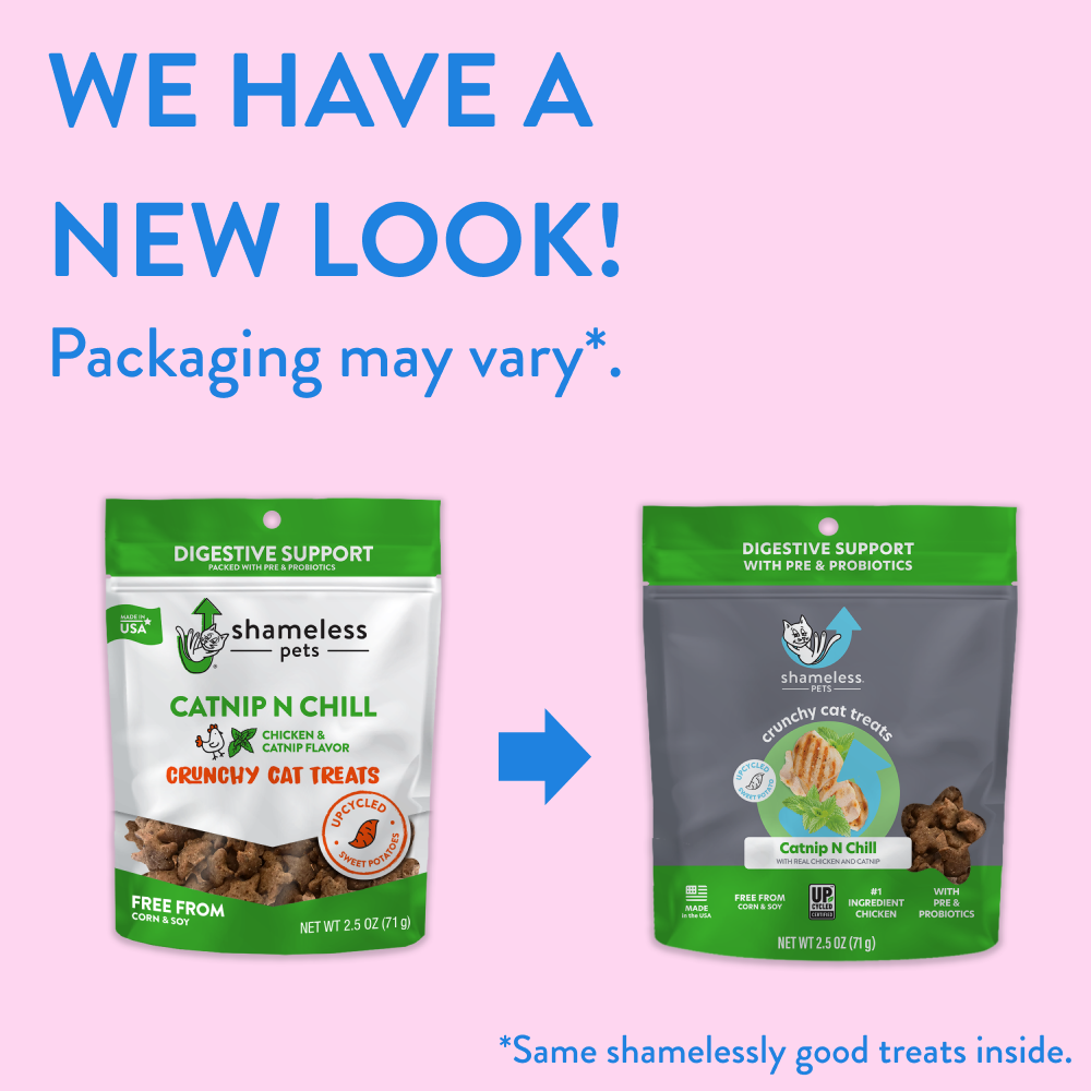 Shameless Pets Catnip N Chill Crunchy Cat Treats - Tucson, AZ - Arizona ...