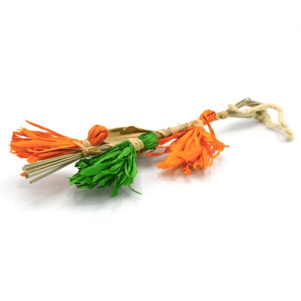 Oxbow Animal Health Enriched Life - Colorful Woven Dangly - Tucson, AZ ...