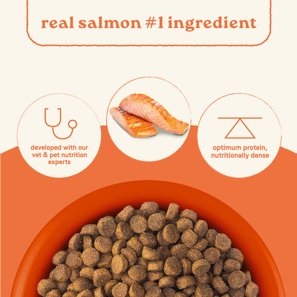 Canidae All Life Stages Dry Dog Food Real Salmon & Ancient Grains ...