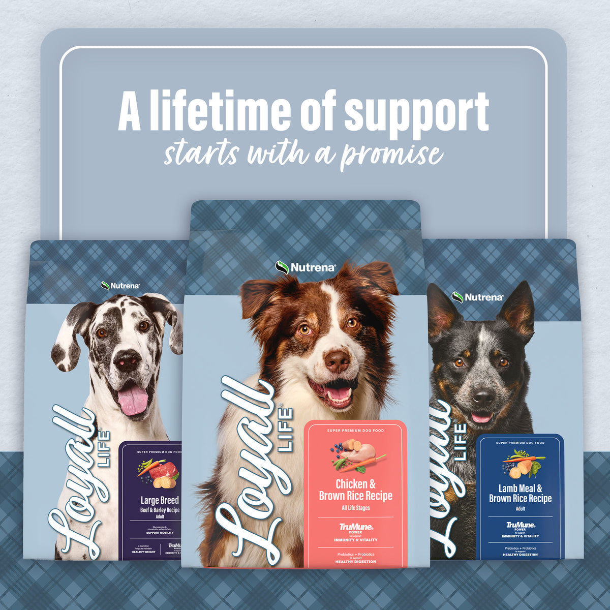 Nutrena® Loyall Life® Beef & Barley Recipe Adult Dog Food - Tucson, AZ ...