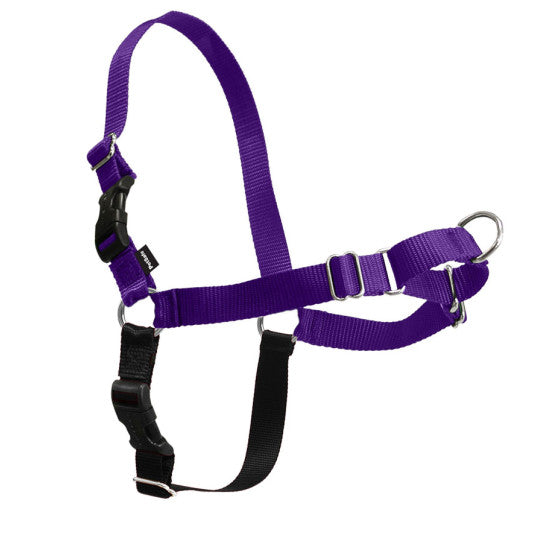 PetSafe Easy Walk® Harness, No Pull Dog Harness - Tucson, AZ - Arizona ...